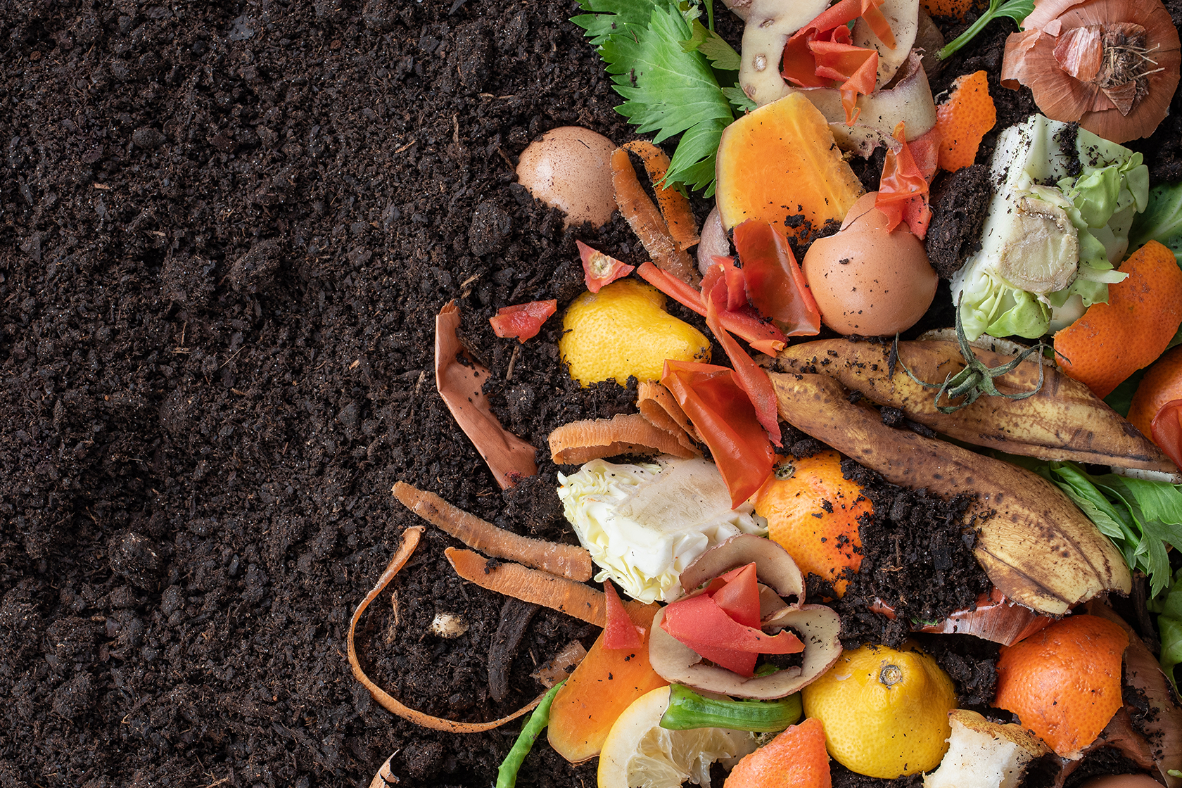 Insect Farming 101: How to Start, What It Costs & What to Expect | Flybox®